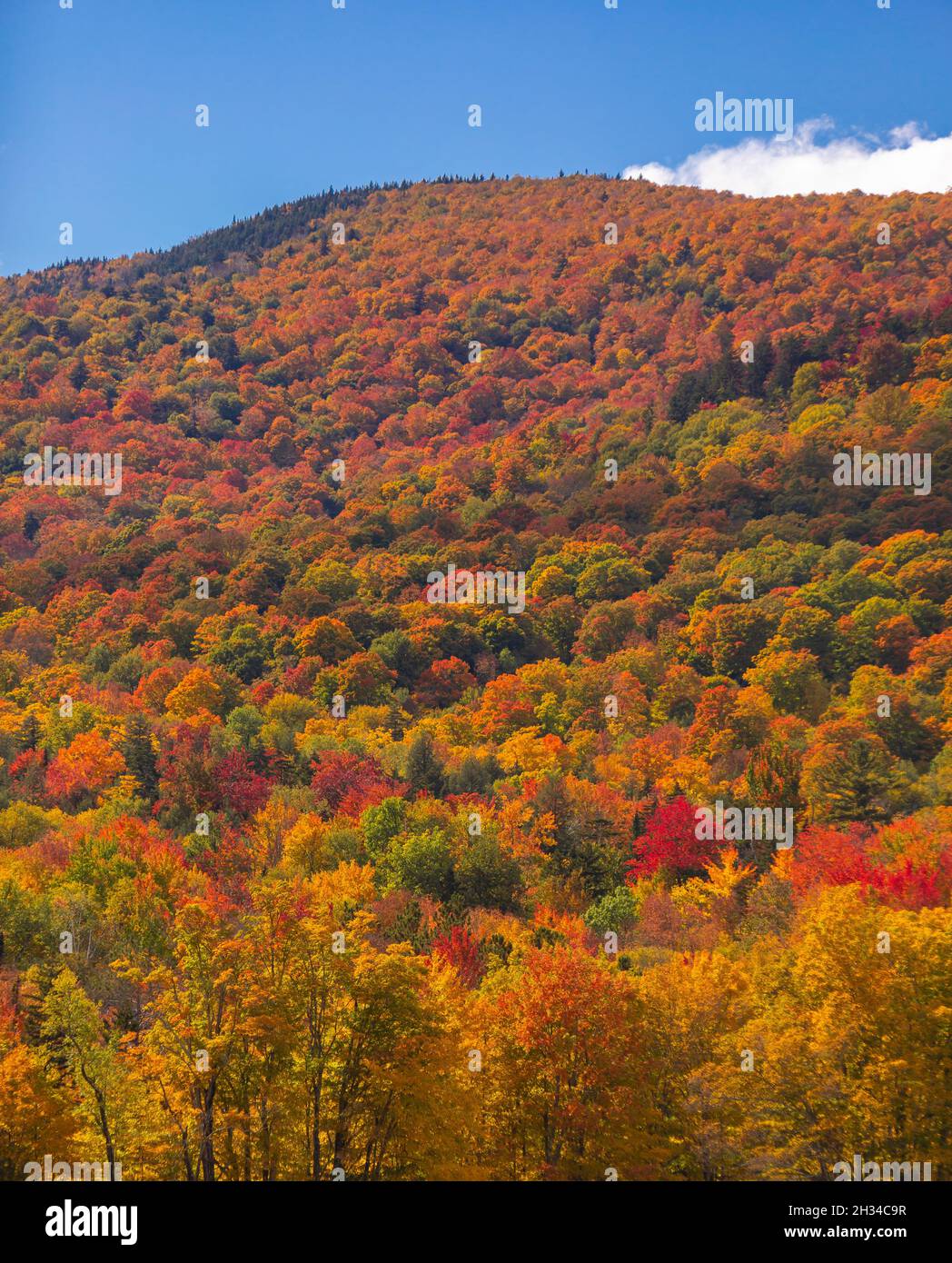 WARREN, VERMONT, USA - Fall foliage, autumn color in Mad River Valley ...