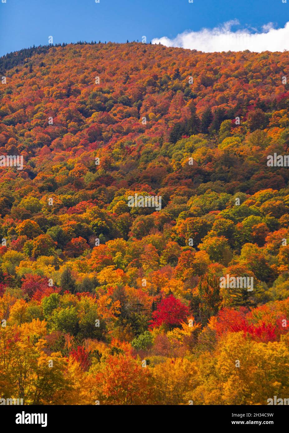 WARREN, VERMONT, USA - Fall foliage, autumn color in Mad River Valley ...