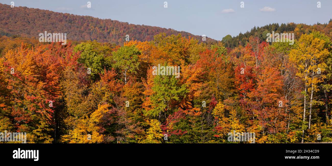 WARREN, VERMONT, USA - Fall foliage, autumn color in Mad River Valley ...