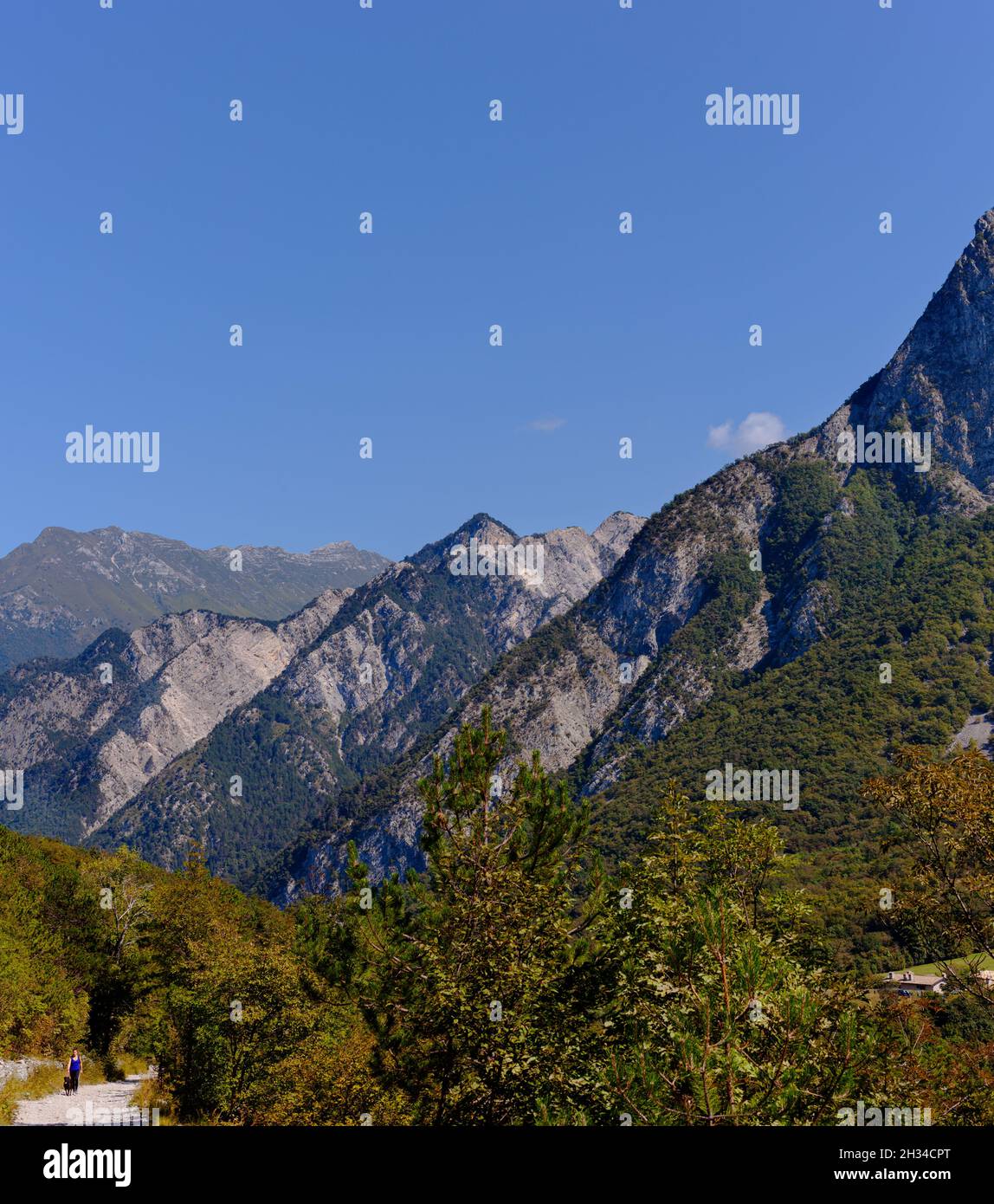 View of the Julian alps from the St. Agnese valley Stock Photo - Alamy