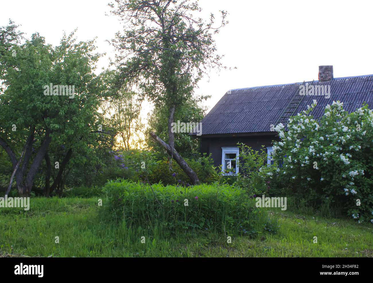 Summer landscape with old rural house and small garden in countryside ...