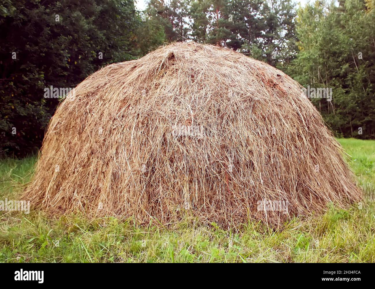 Haystack on the field in the countryside Stock Photo - Alamy