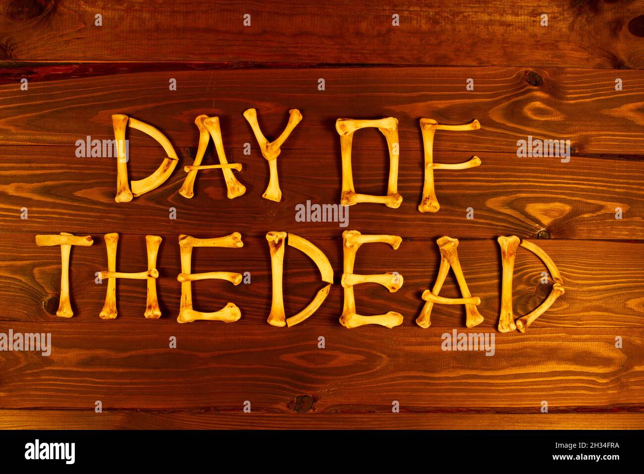 Lettering from the bones of the words Day of the Dead on a beautiful ...
