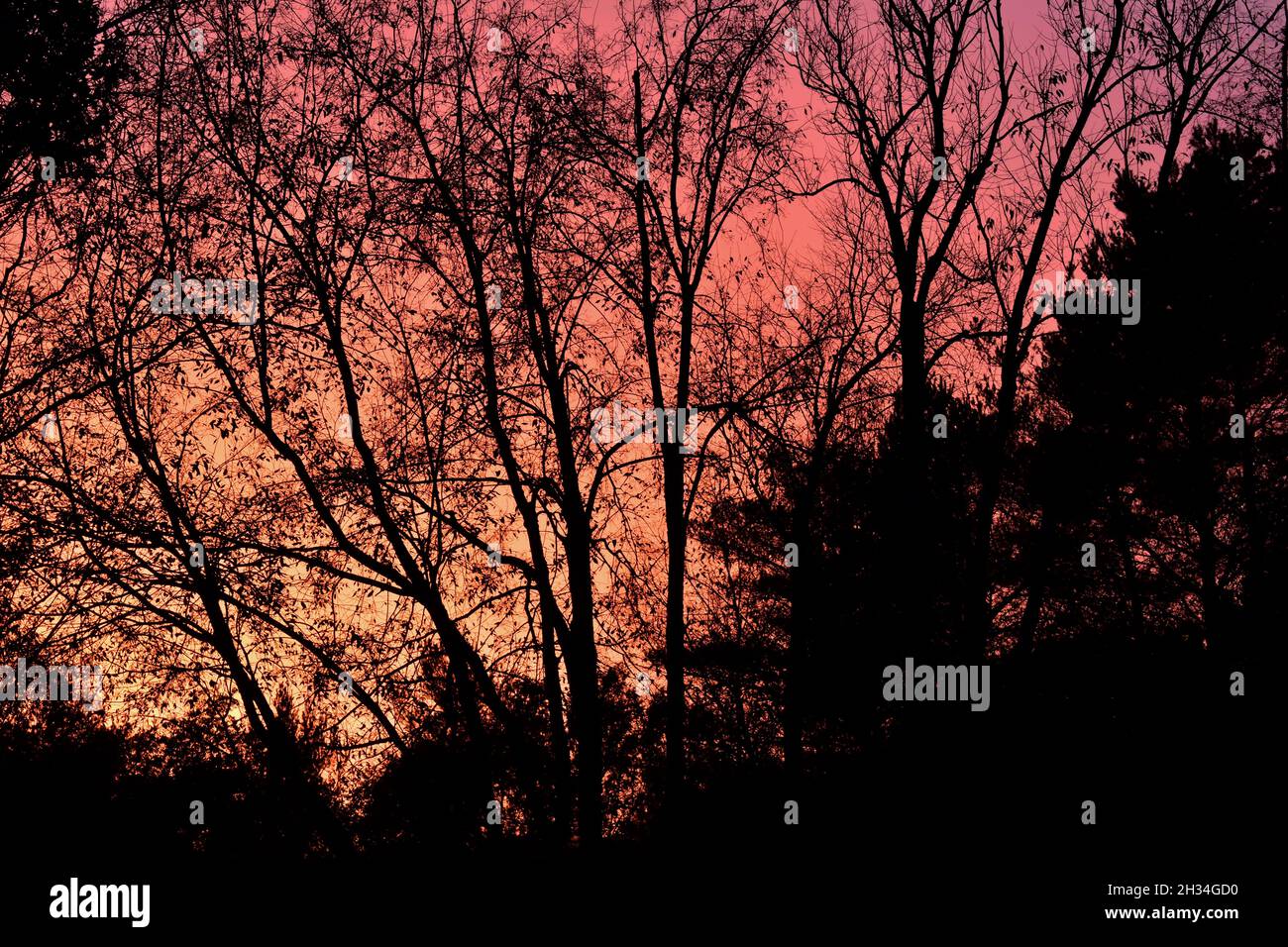 Red evening sky in southern Michigan in autumn prior to a thunder storm ...