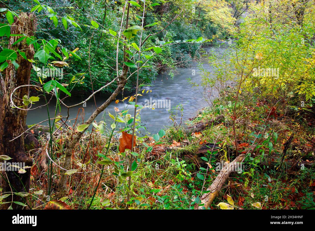 Hayden Run Falls Park in Autumn, Columbus, Ohio Stock Photo - Alamy