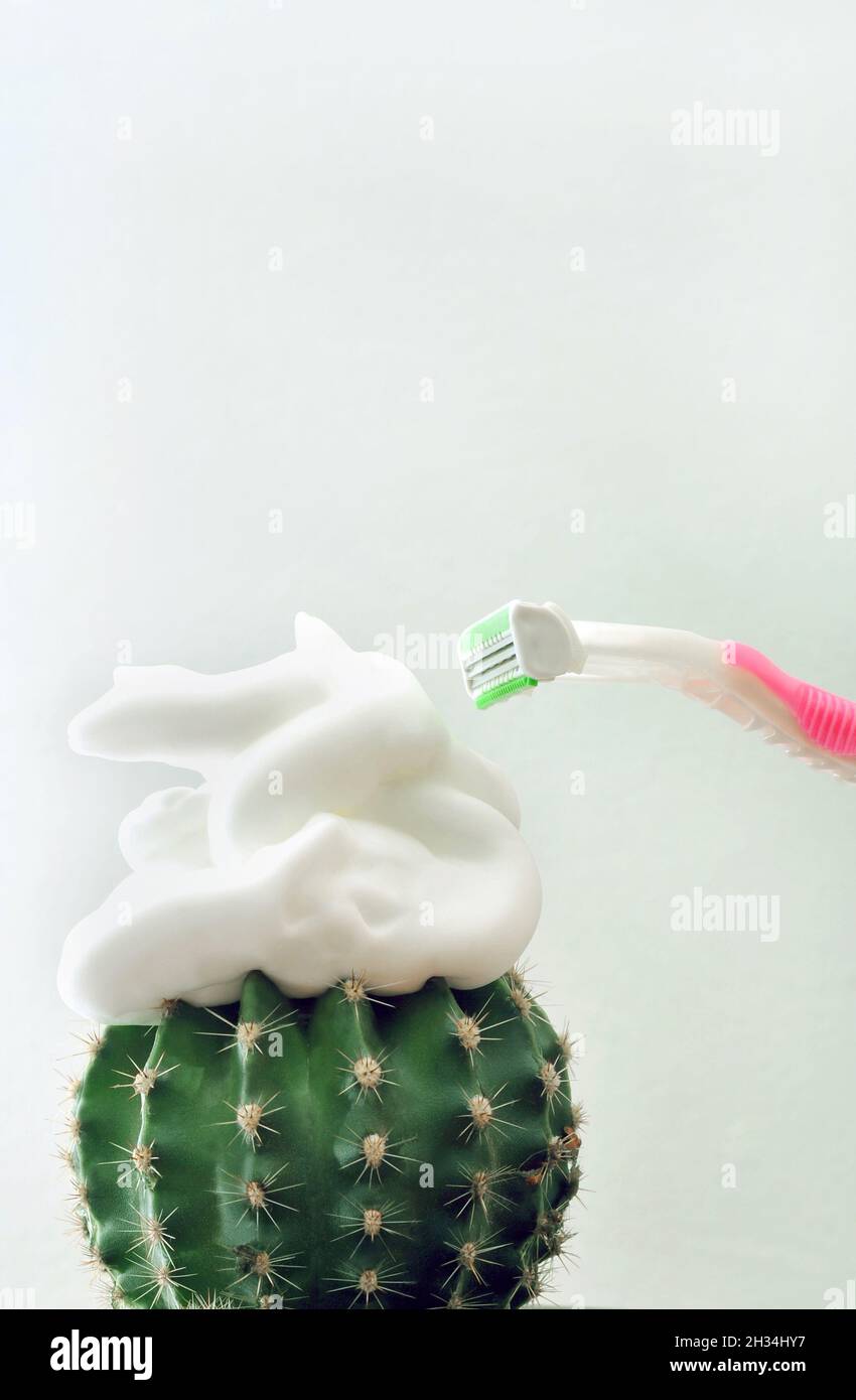 The concept of shaving and body care on an abstract example of a cactus ...