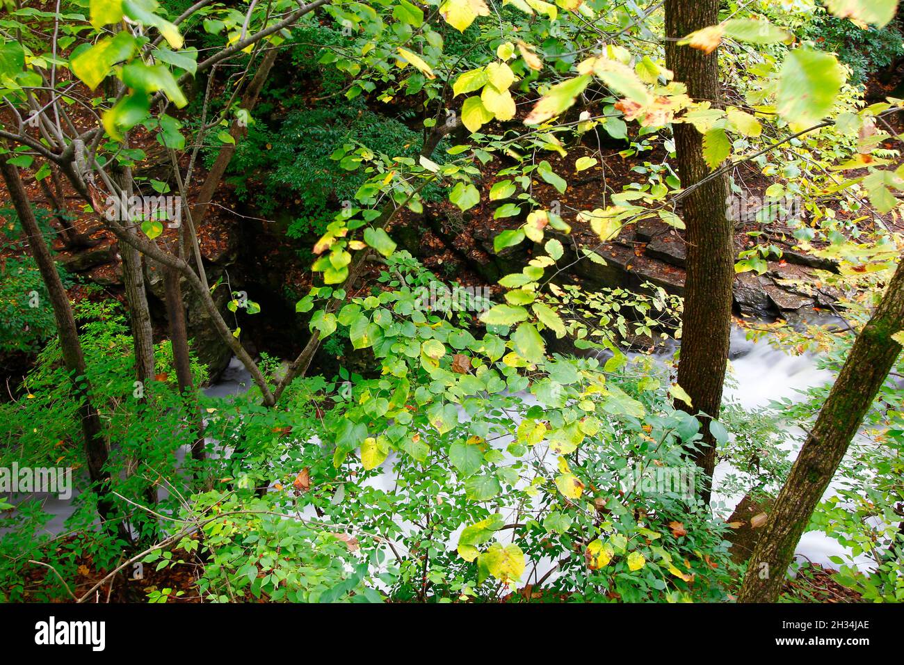 Indian Run Falls Park in Autumn, Dublin, Ohio Stock Photo - Alamy
