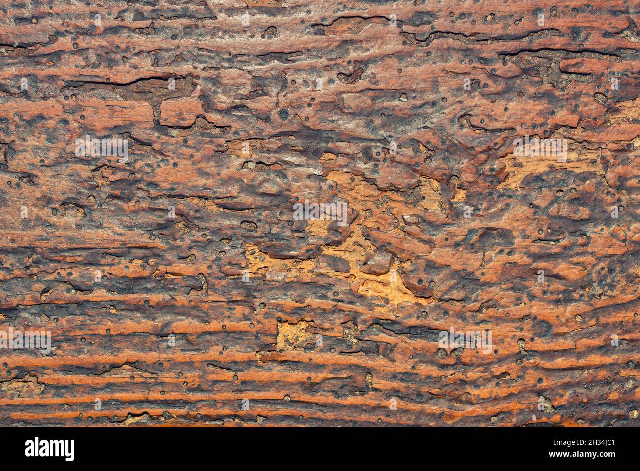 An old rotten wood texture or background Stock Photo - Alamy