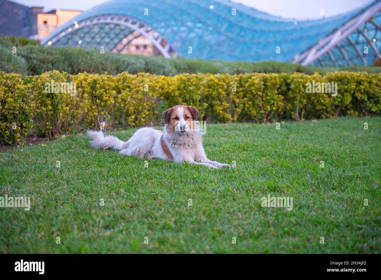 Angry head hi-res stock photography and images - Alamy