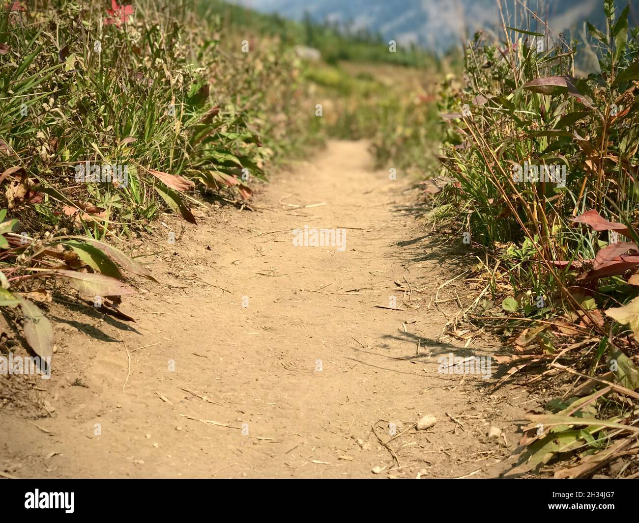 Graded dirt hi-res stock photography and images - Alamy