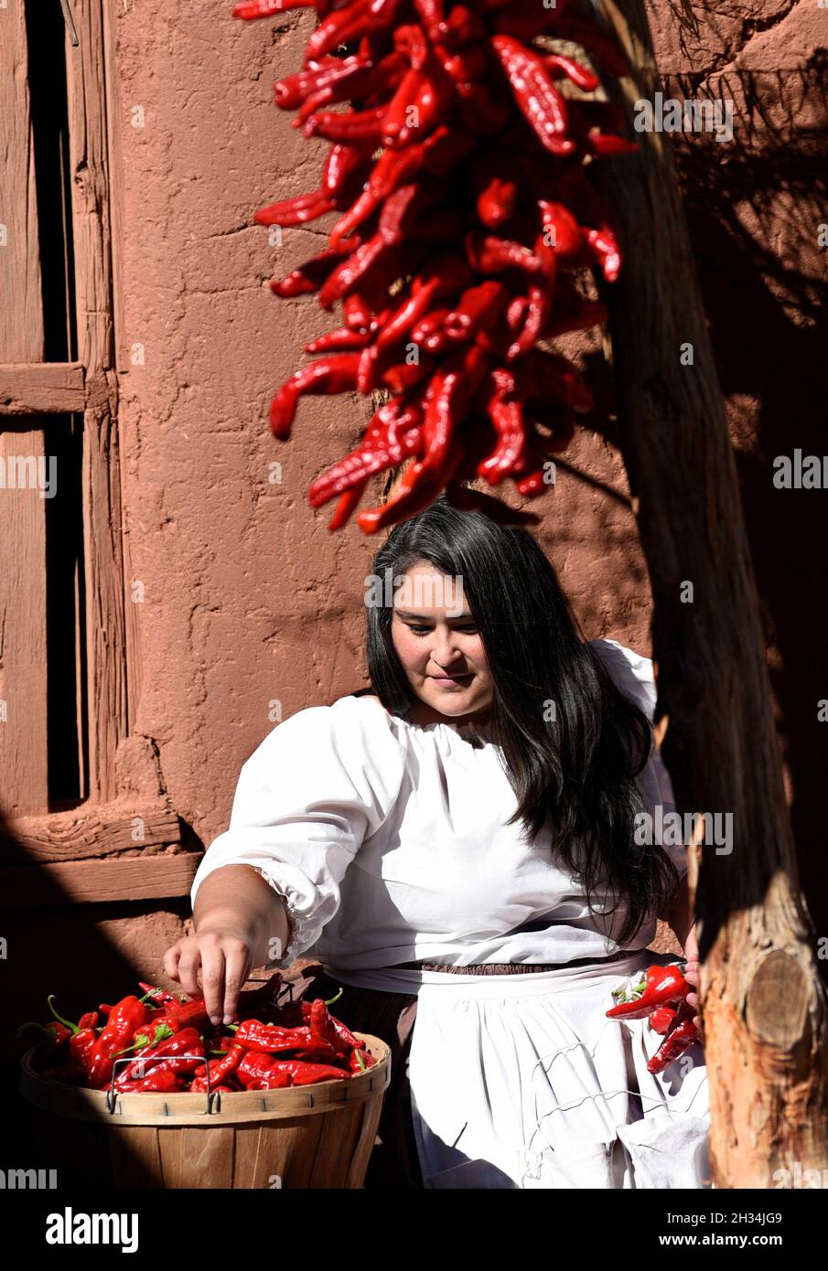 A woman demonstrates how to make traditional ristras by stringing red ...