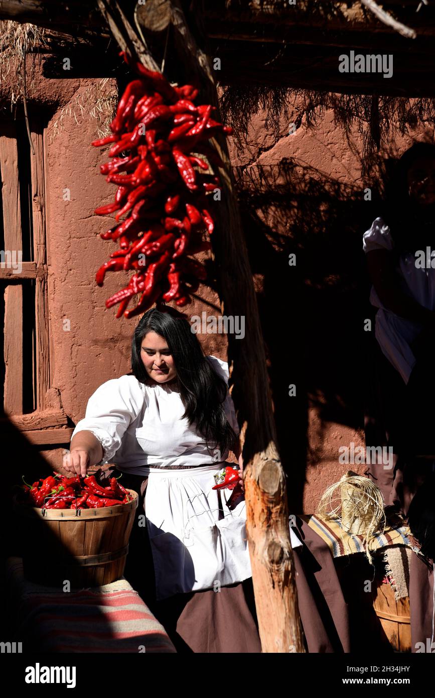 A woman demonstrates how to make traditional ristras by stringing red ...