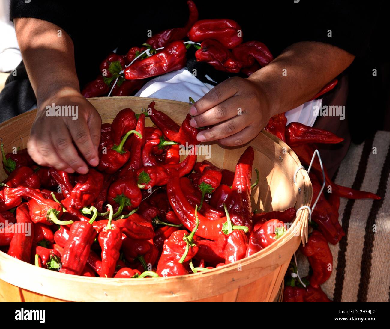 A woman demonstrates how to make traditional ristras by stringing red ...