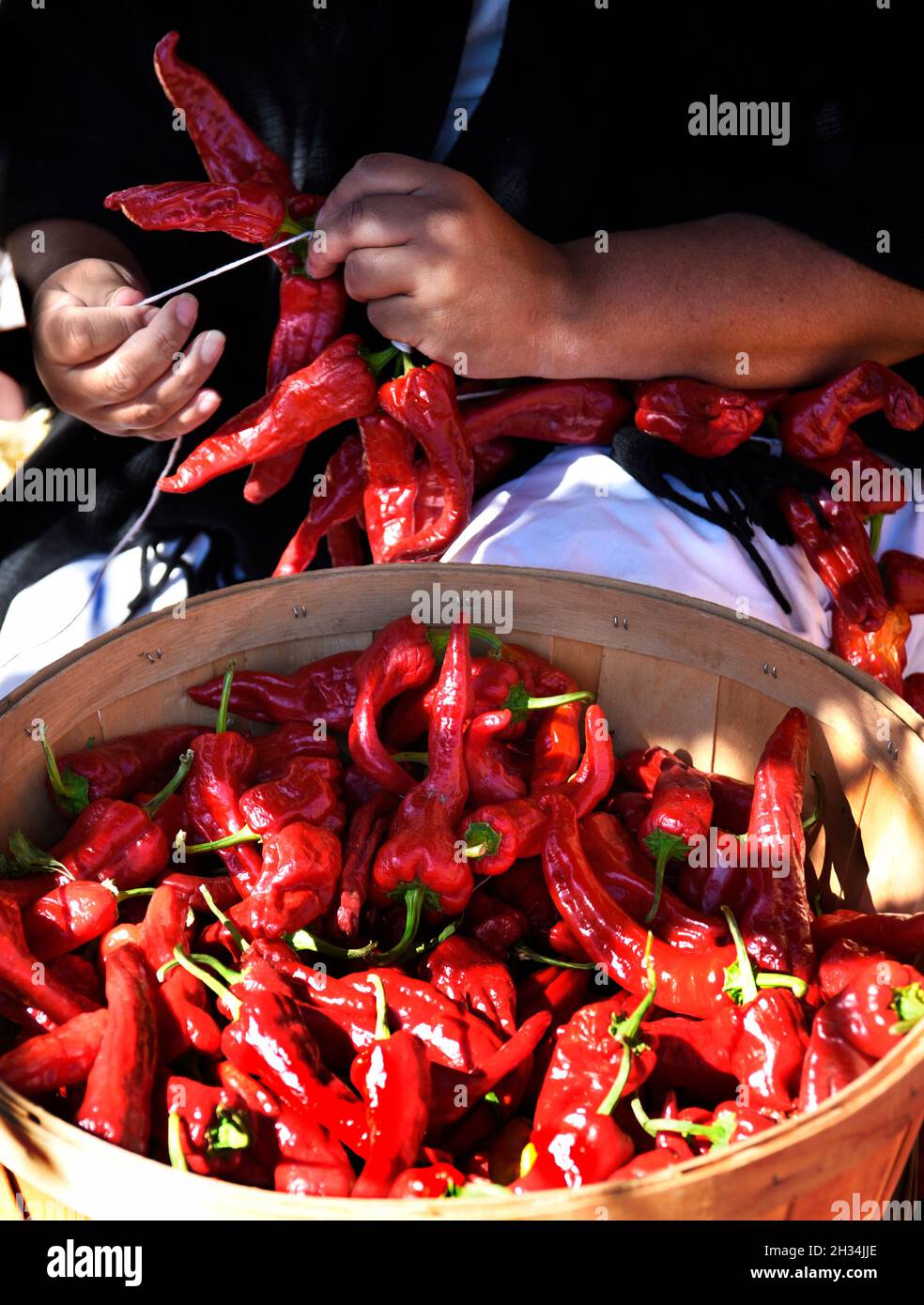 A woman demonstrates how to make traditional ristras by stringing red ...