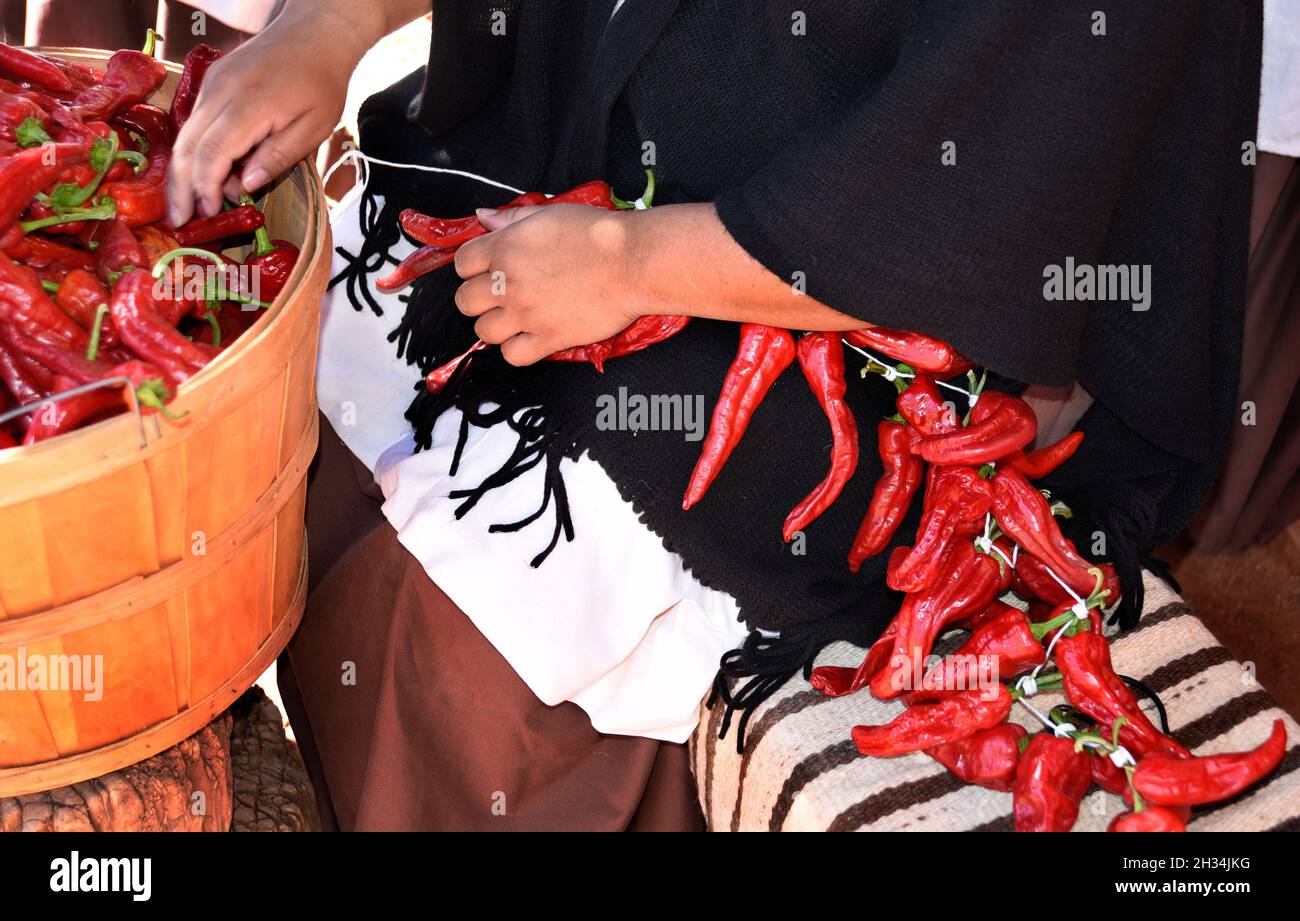 A woman demonstrates how to make traditional ristras by stringing red ...