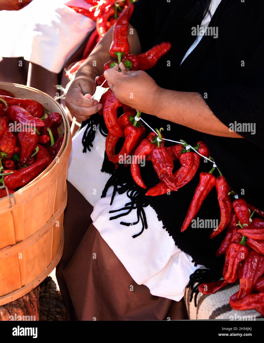 A woman demonstrates how to make traditional ristras by stringing red ...