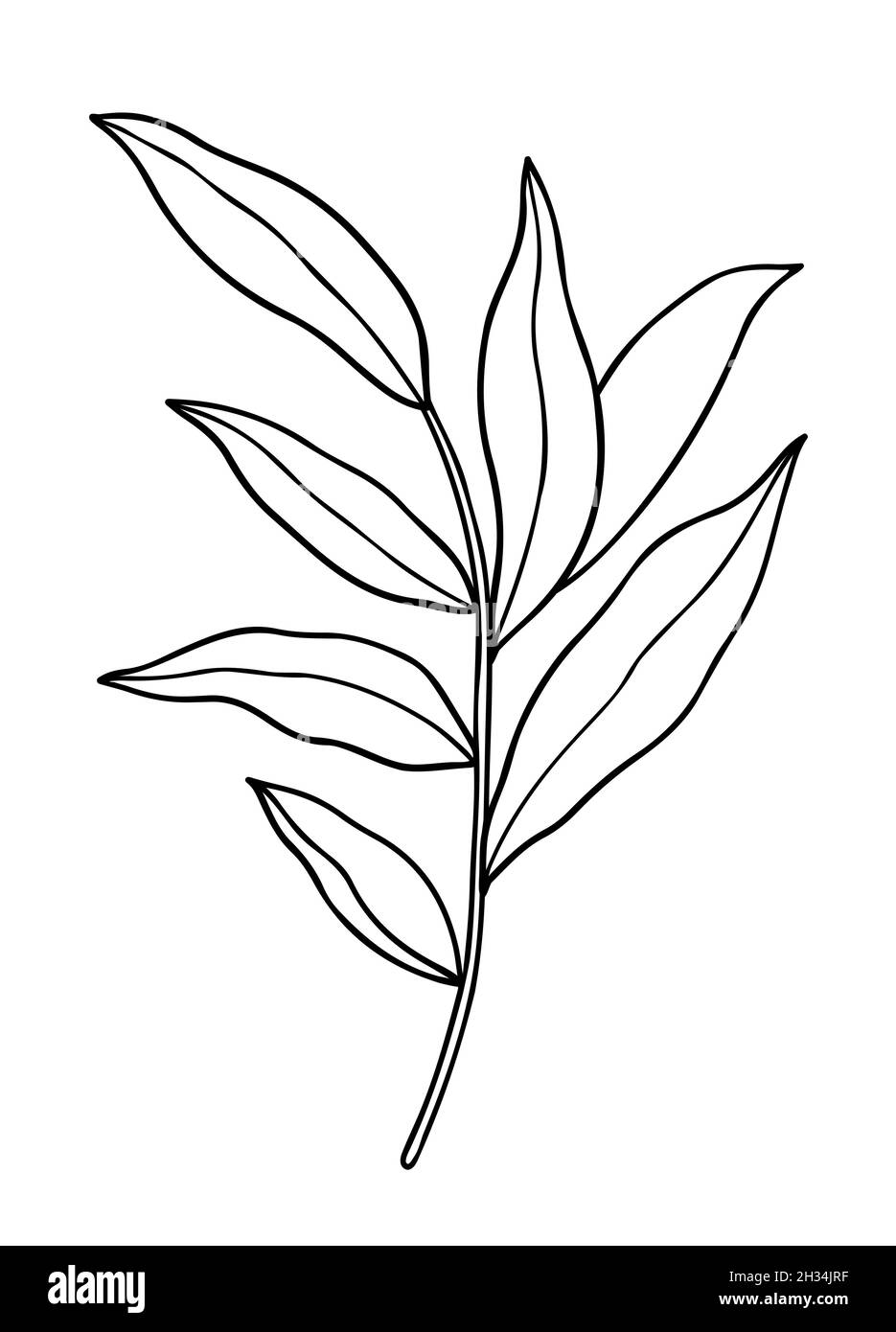 Abstract twig with leaves isolated on a white background. Vector hand ...