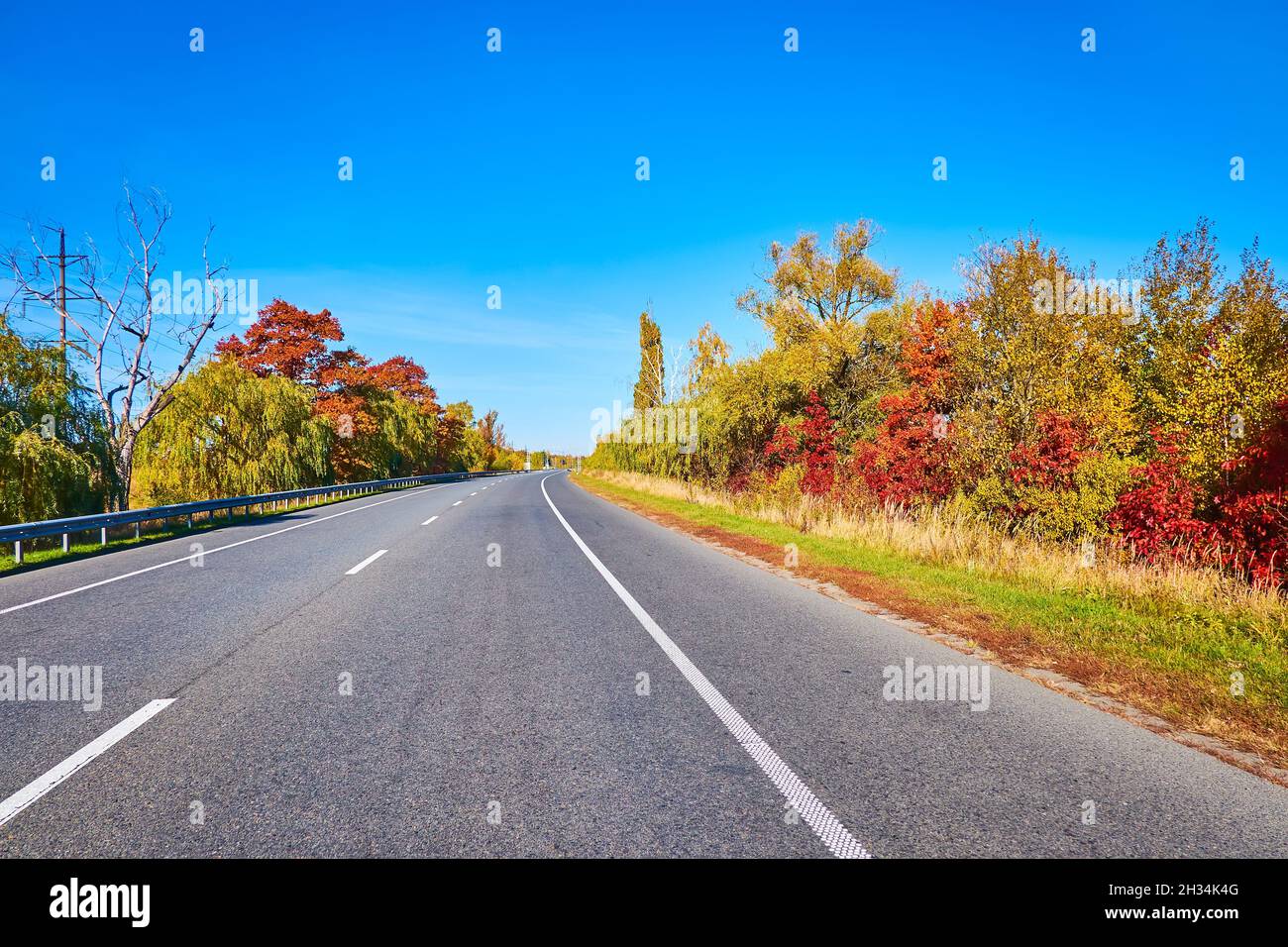The scenic autumn trees along the road in Ukrainian countryside Stock ...