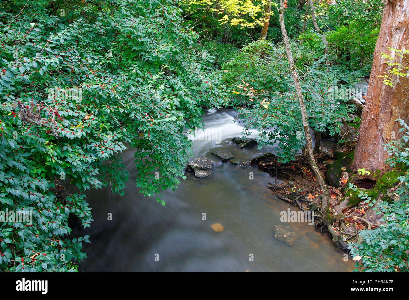 Indian Run Falls Park in Autumn, Dublin, Ohio Stock Photo - Alamy