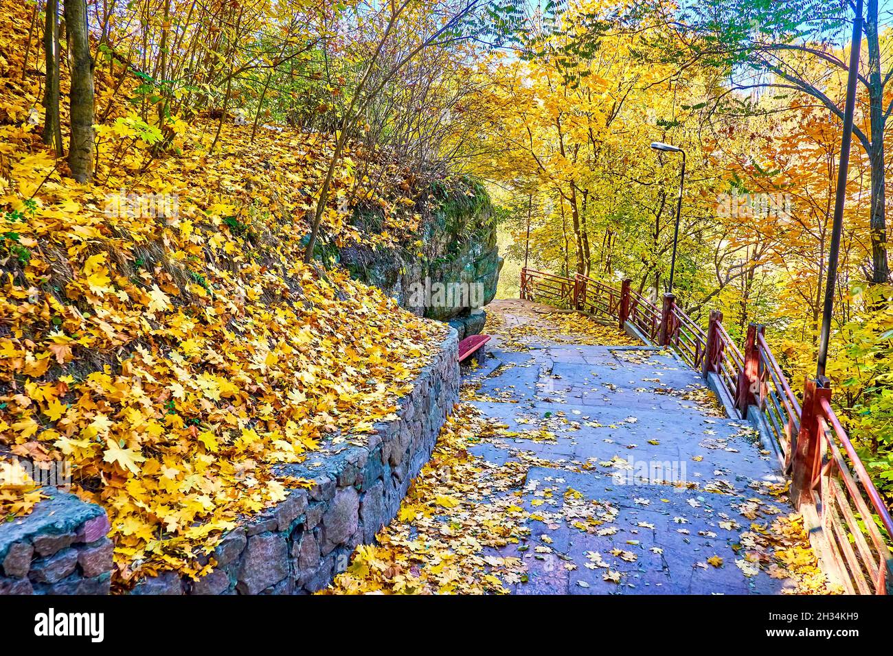 Fallen golden autumn leaves on the alley of Drevlians Park in Korosten ...