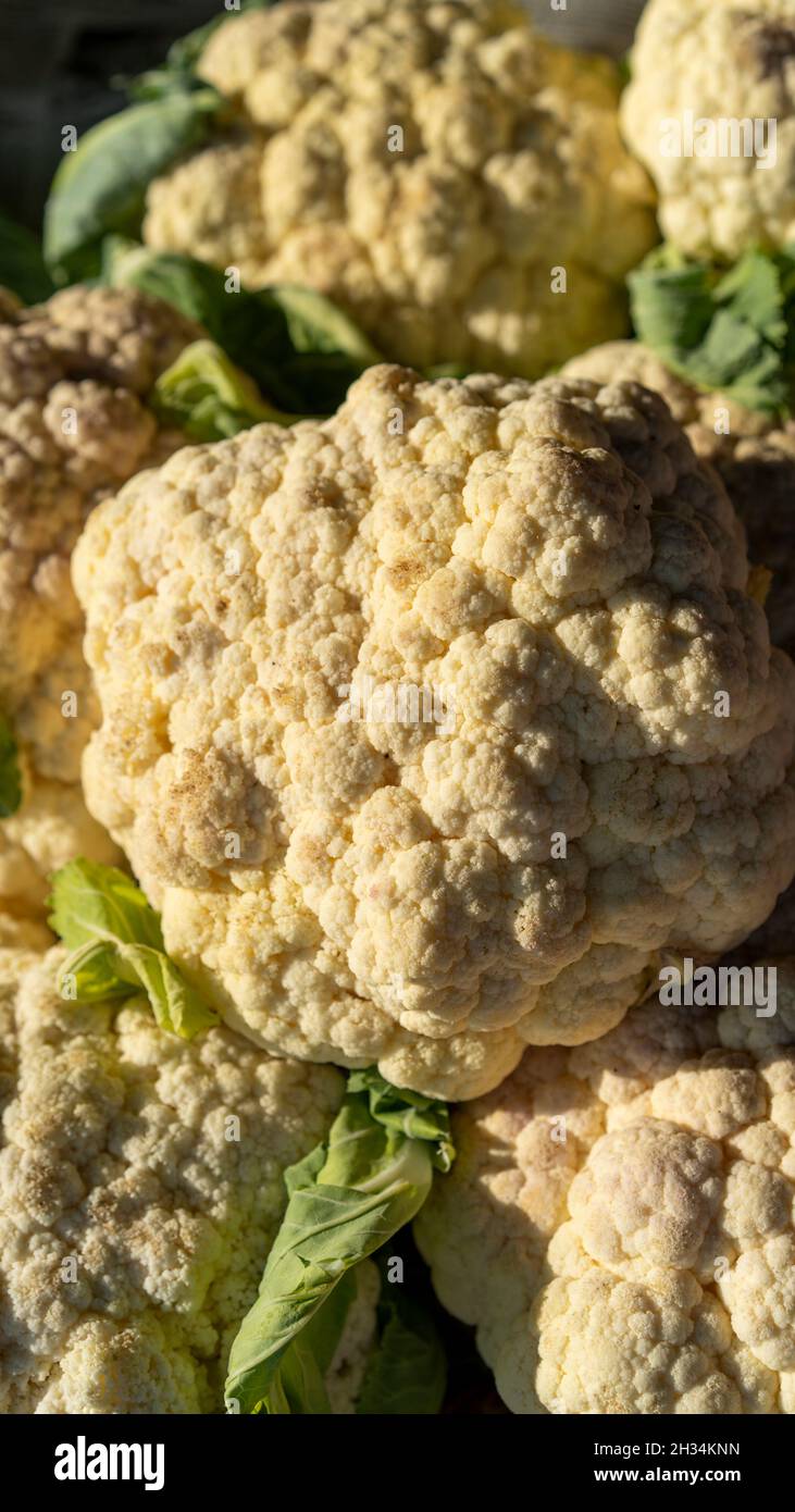 Fresh cauliflower texture hi-res stock photography and images - Alamy