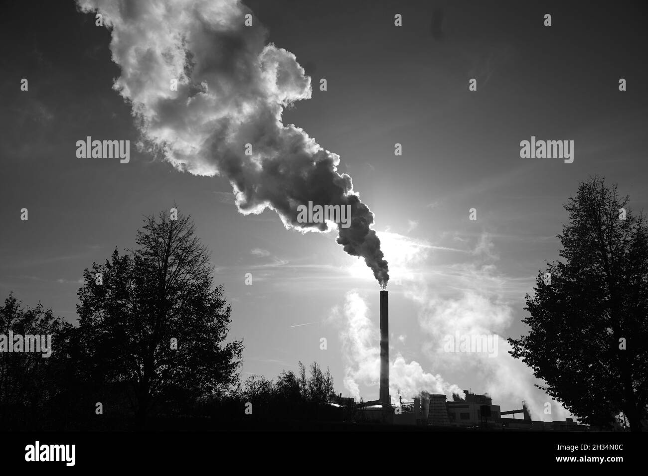 Pollution Black And White