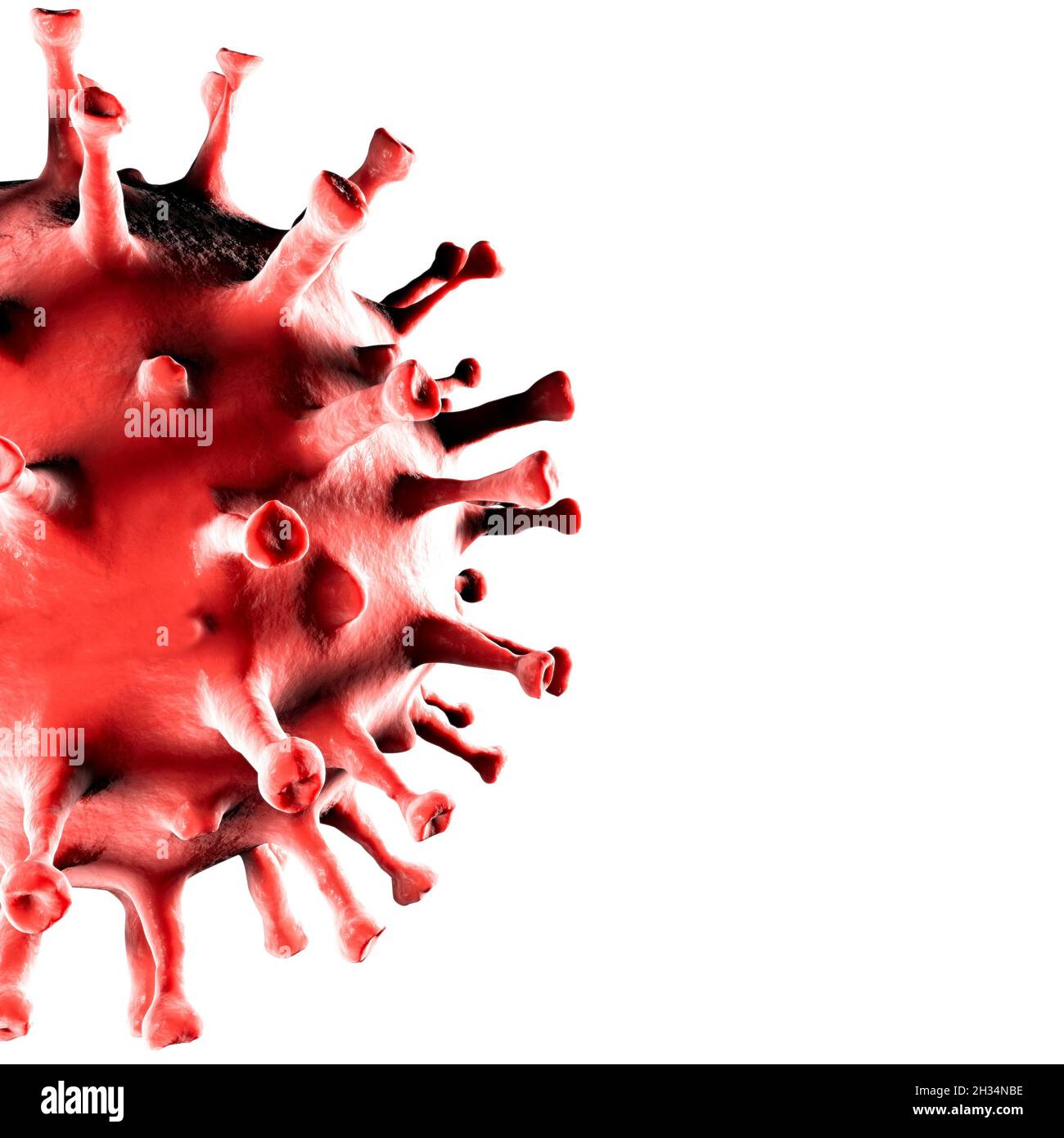 Virus, detail seen under the microscope, mutations and variants of the ...