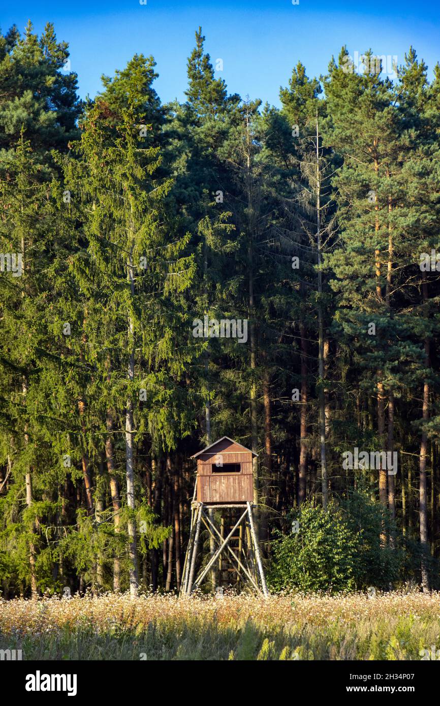 Tall hunting stand hi-res stock photography and images - Alamy