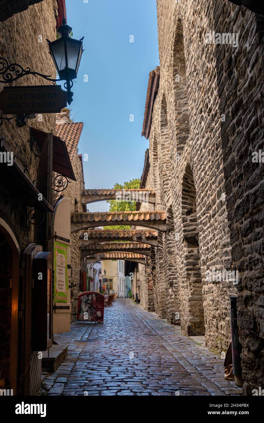 Tallinn capital of Estonia in summer 2021 Stock Photo - Alamy