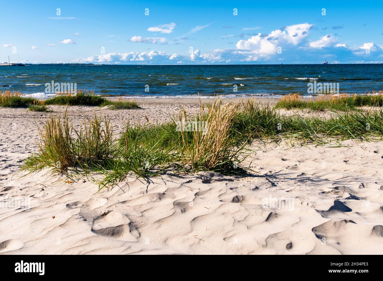 Tallinn capital of Estonia in summer 2021 Stock Photo - Alamy