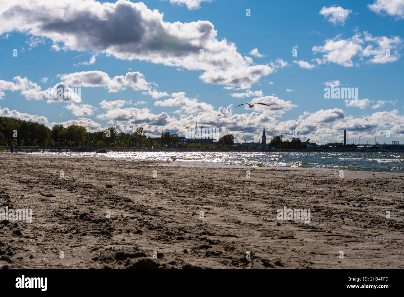 Tallinn capital of Estonia in summer 2021 Stock Photo - Alamy