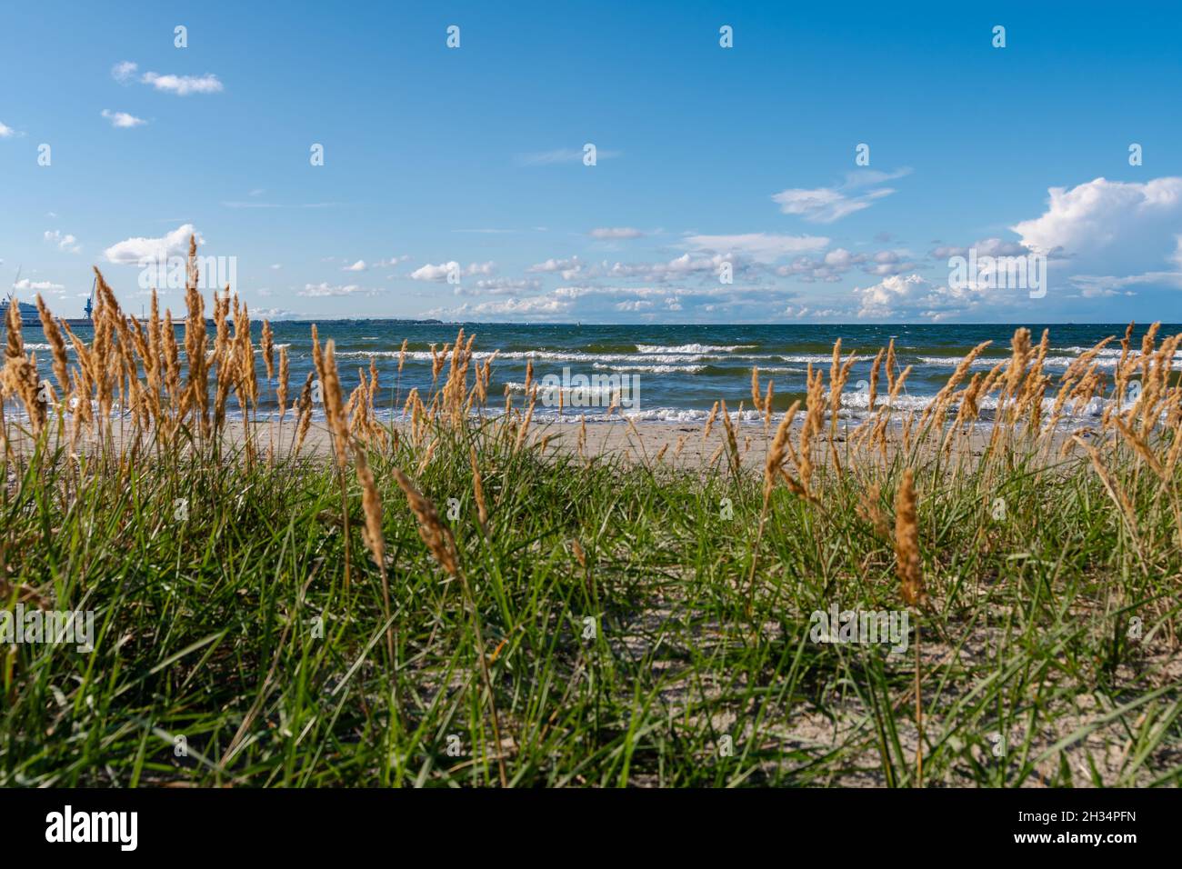 Tallinn capital of Estonia in summer 2021 Stock Photo - Alamy