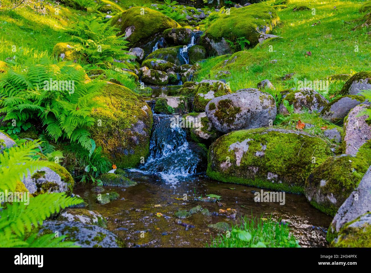 Tallinn capital of Estonia in summer 2021 Stock Photo - Alamy
