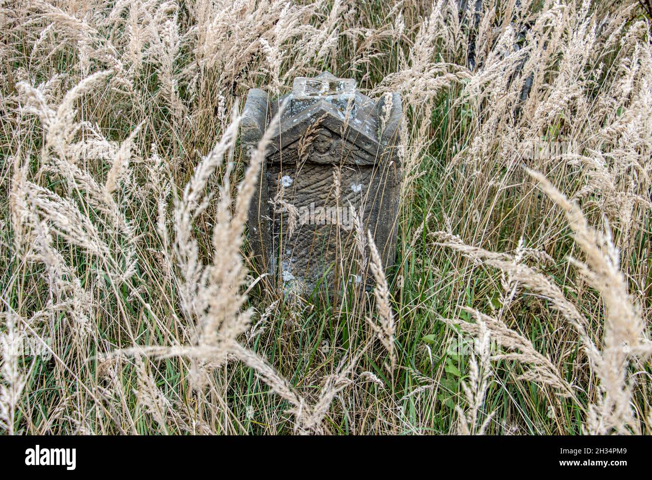 Old tombstone in a rural cemetery overgrown with tall grass Stock Photo ...
