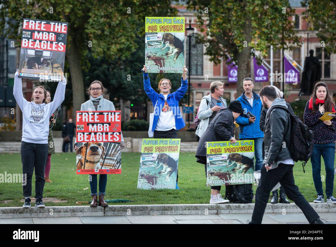 Animal rights activists hi-res stock photography and images - Alamy
