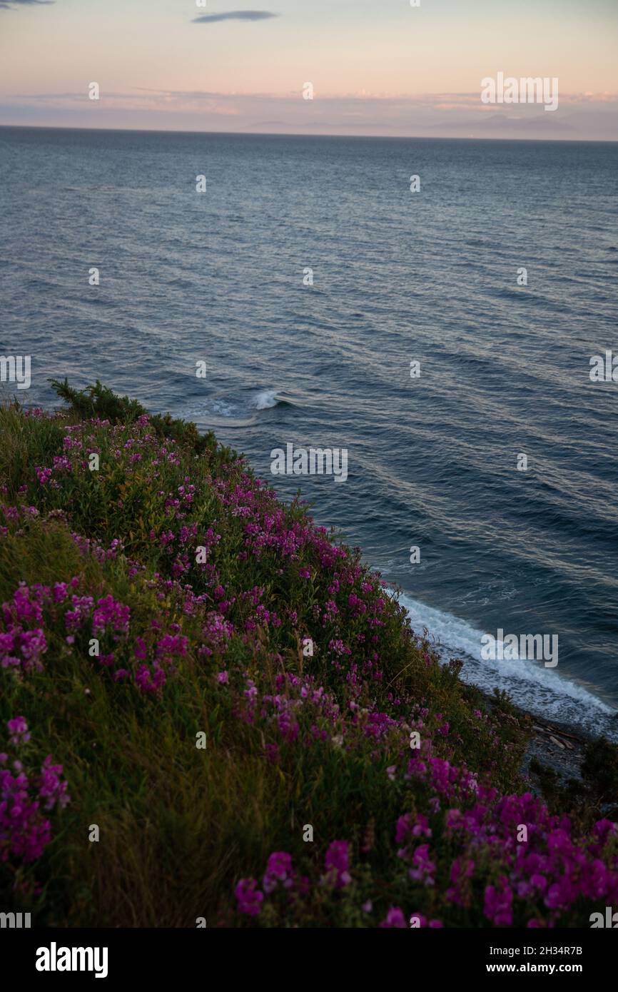 Dallas road beach victoria canada hi-res stock photography and images ...