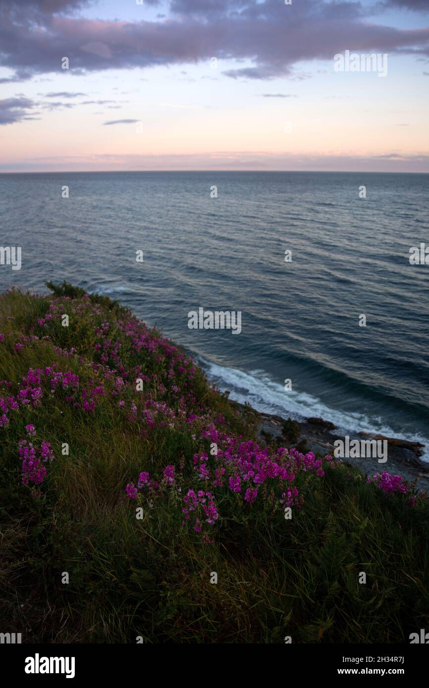 Dallas road beach victoria canada hi-res stock photography and images ...
