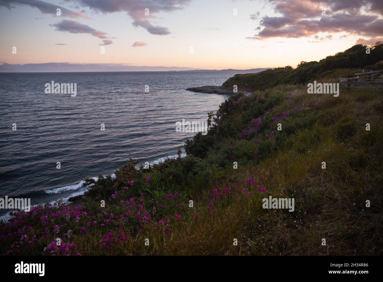Colourful sunset with wild flowers at Spiral beach with views of the ...