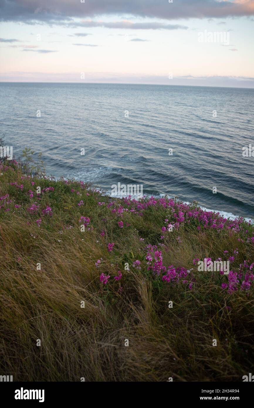Clover point victoria bc hi-res stock photography and images - Alamy