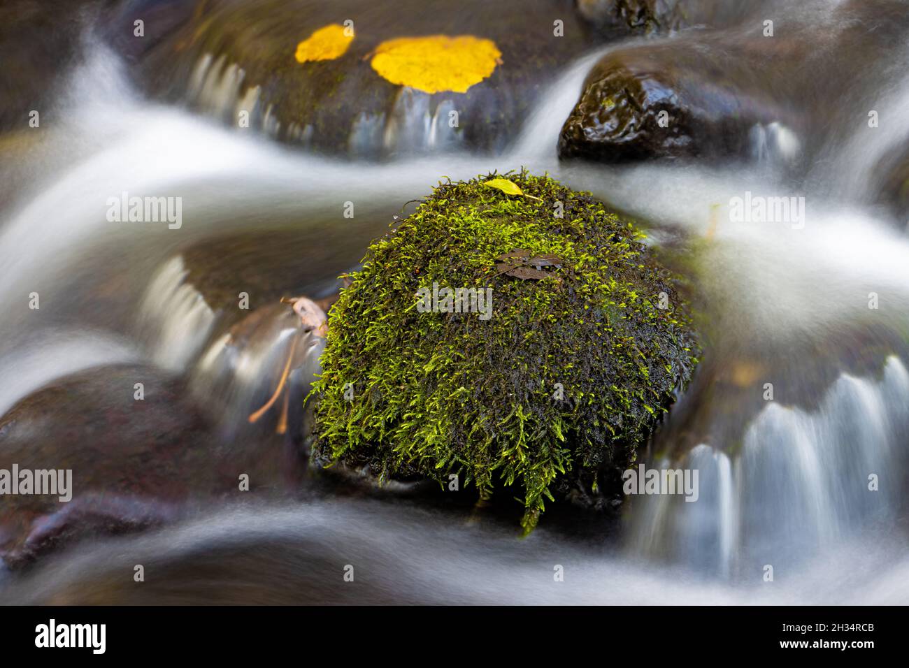 A water cascade with boulder overgrown with moss Stock Photo - Alamy