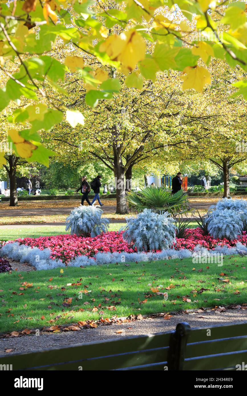 The beautiful formal English Gardens in Regents Park, in autumn ...