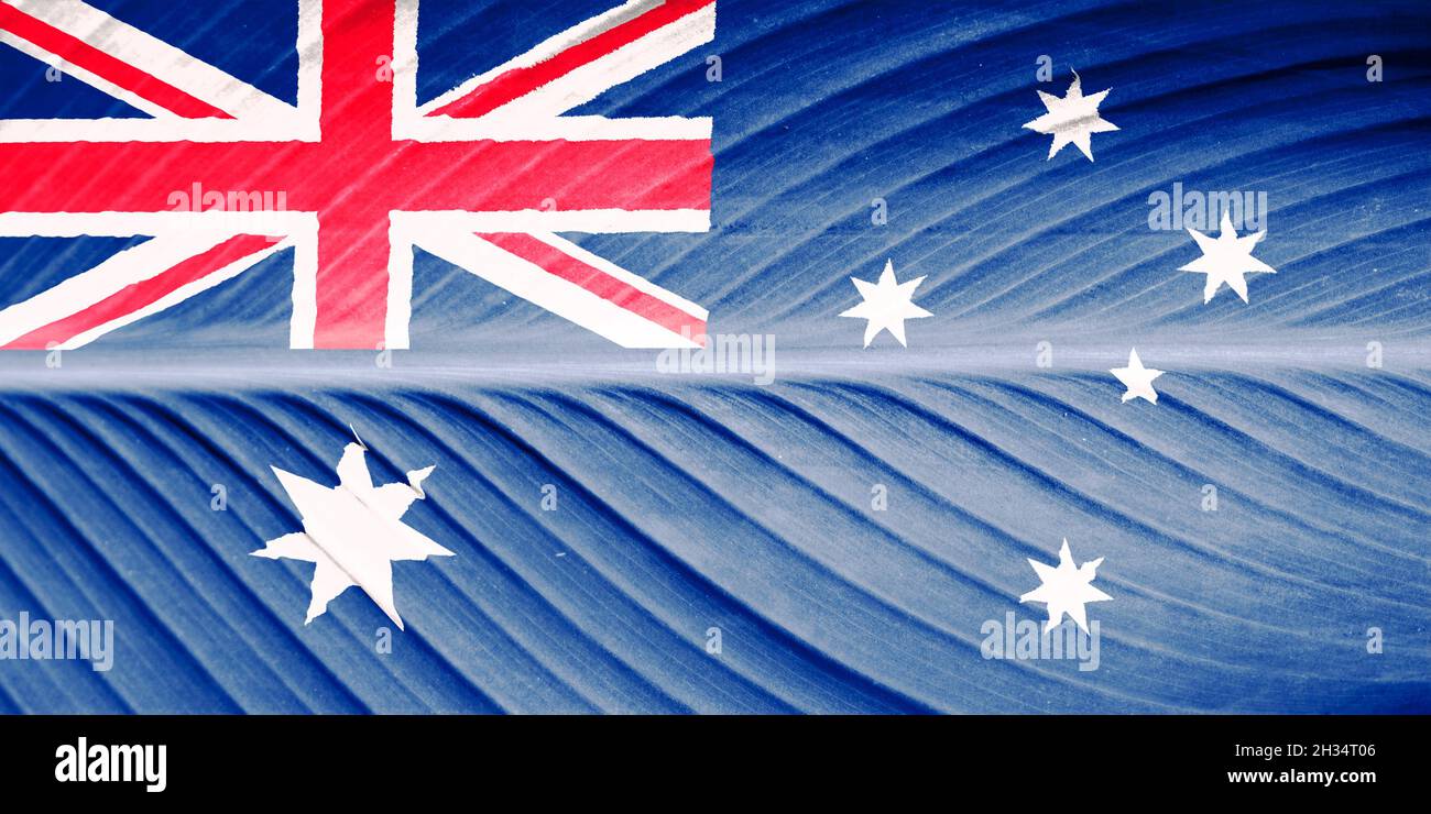 Australia flag on texture background. Background for greeting cards for Australia public ...