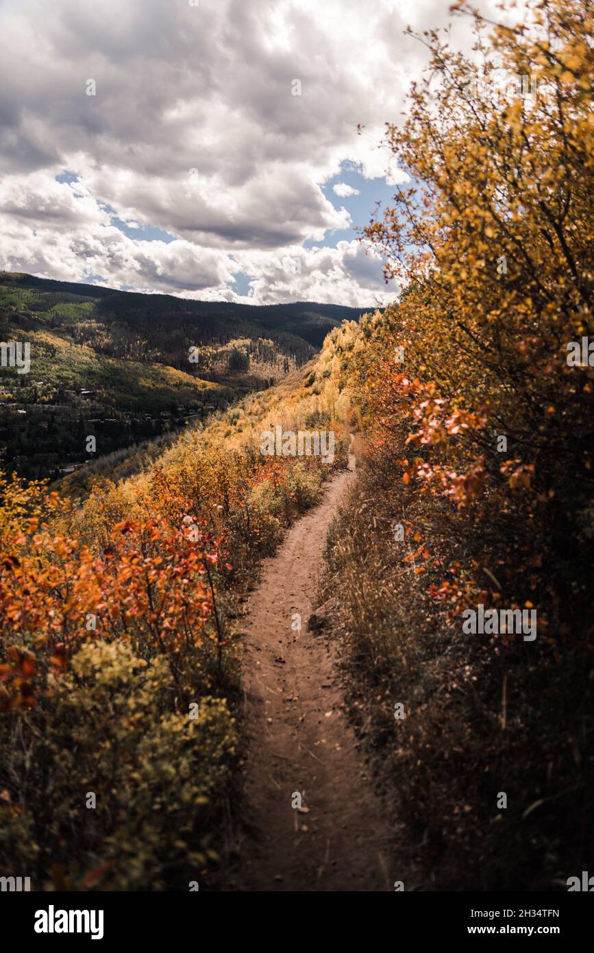 Fall foliage in West Vail, Colorado Stock Photo - Alamy