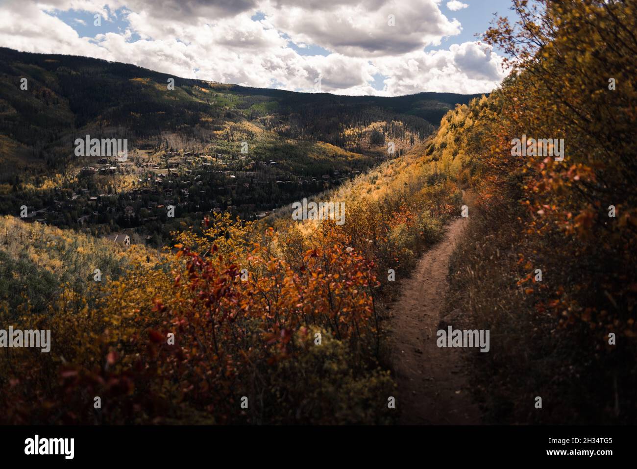 Fall foliage in West Vail, Colorado Stock Photo - Alamy