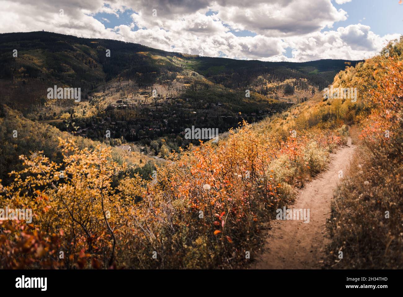 Fall foliage in West Vail, Colorado Stock Photo - Alamy