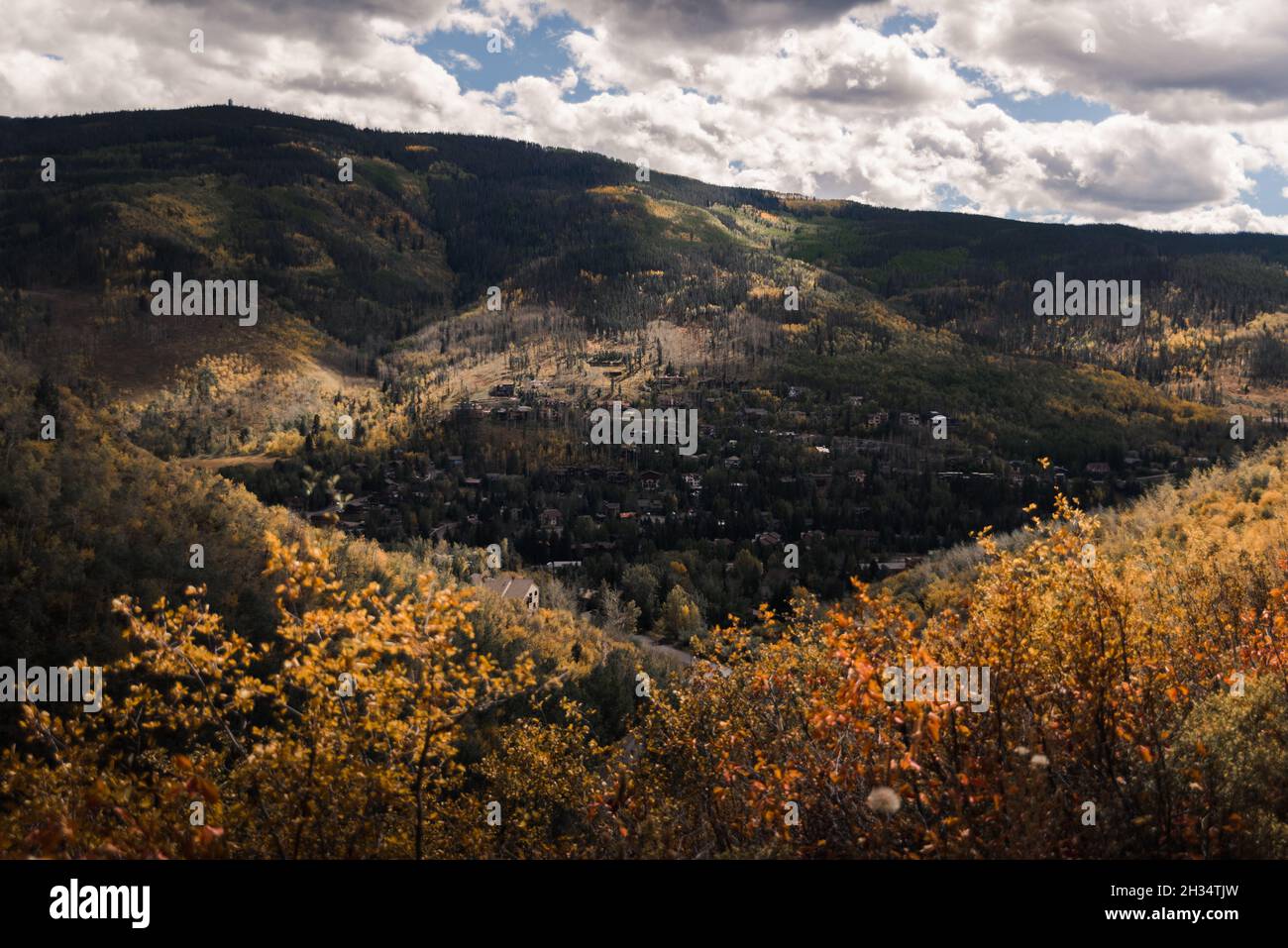 Fall foliage in West Vail, Colorado Stock Photo - Alamy