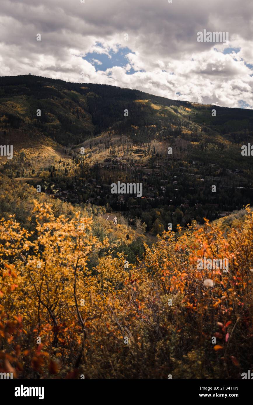 Fall foliage in West Vail, Colorado Stock Photo - Alamy
