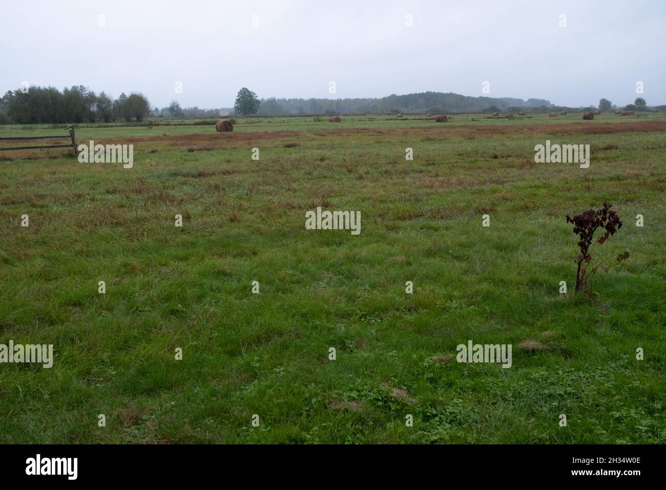 Podlasie, Poland - 20 October 2020: landscape of Polish Podlasie Stock ...