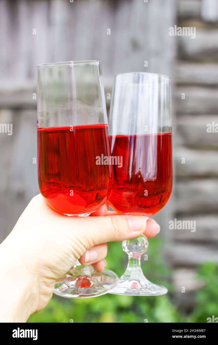 Two glasses with homemade red vine in a hand on farm yard background in ...