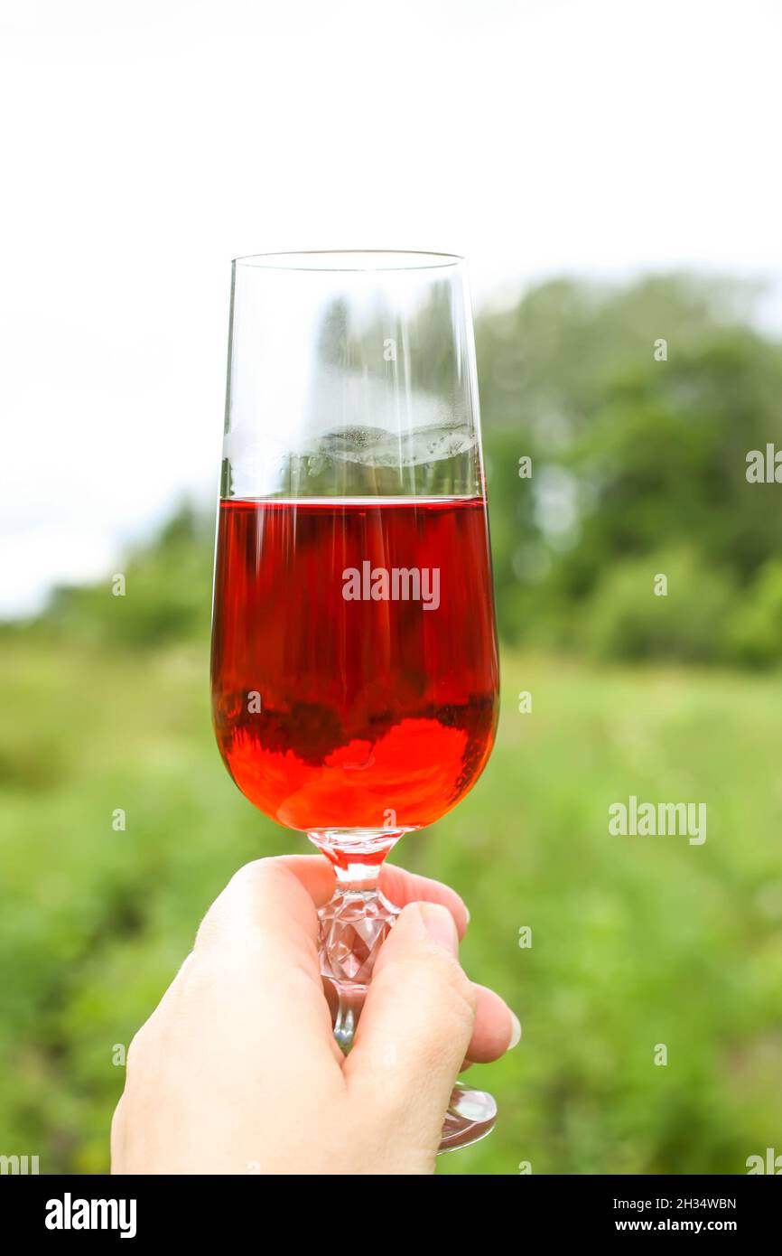 Glass with homemade red vine in a hand on farm yard background in a ...
